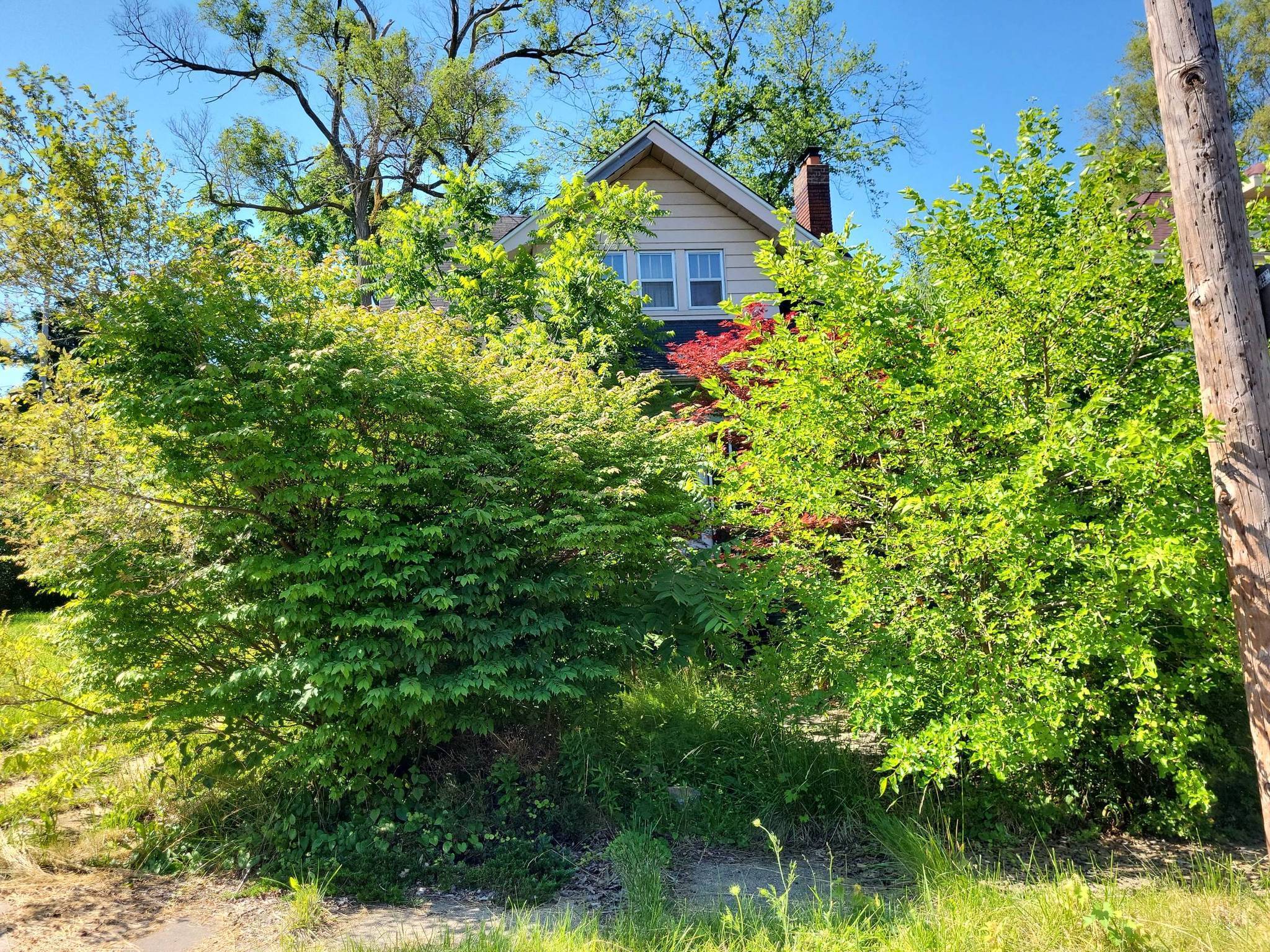 217 ODETTE ST, FLINT, MI 48503 - Genesee County Land Bank