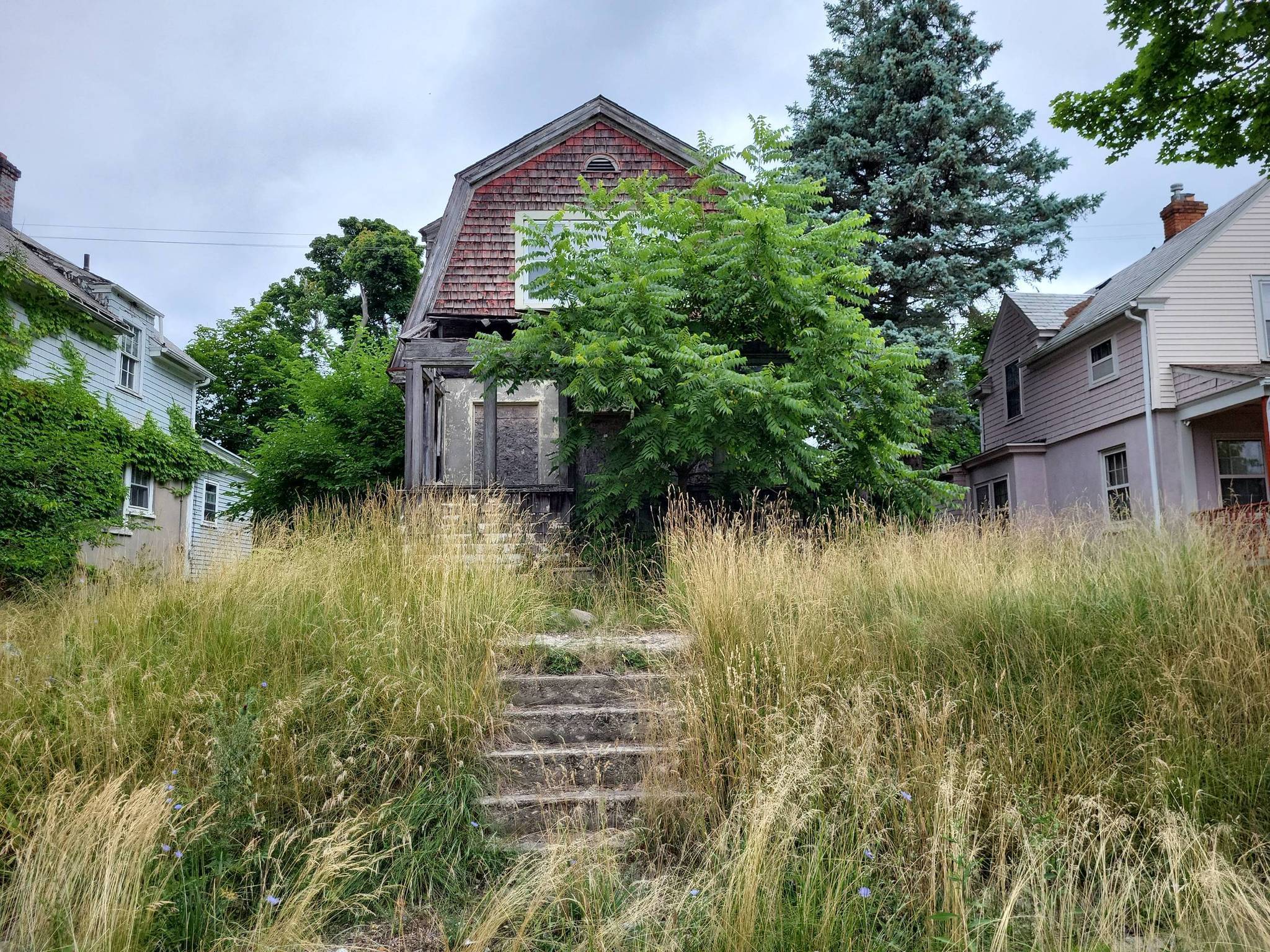 1534 W JACKSON AVE, FLINT, MI 48504 - Genesee County Land Bank